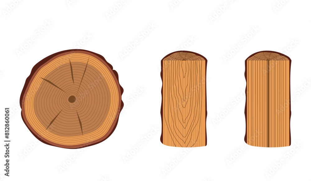 Main types of trunk cuts. Different wood patterns: transverse ...