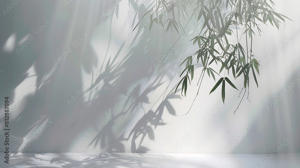 Studio backgroundconcrete with Bamboo Leaves shadow with sunlight ...