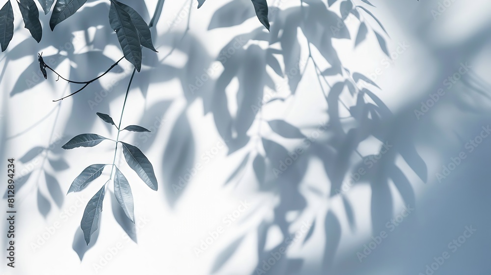 Leaf shadow and light on wall blur background Nature tropical leaves ...