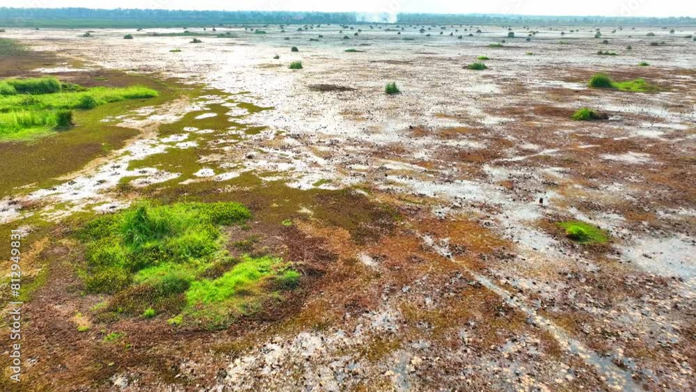 Behold an aerial panorama of a sparse wetland, its terrain adorned with ...