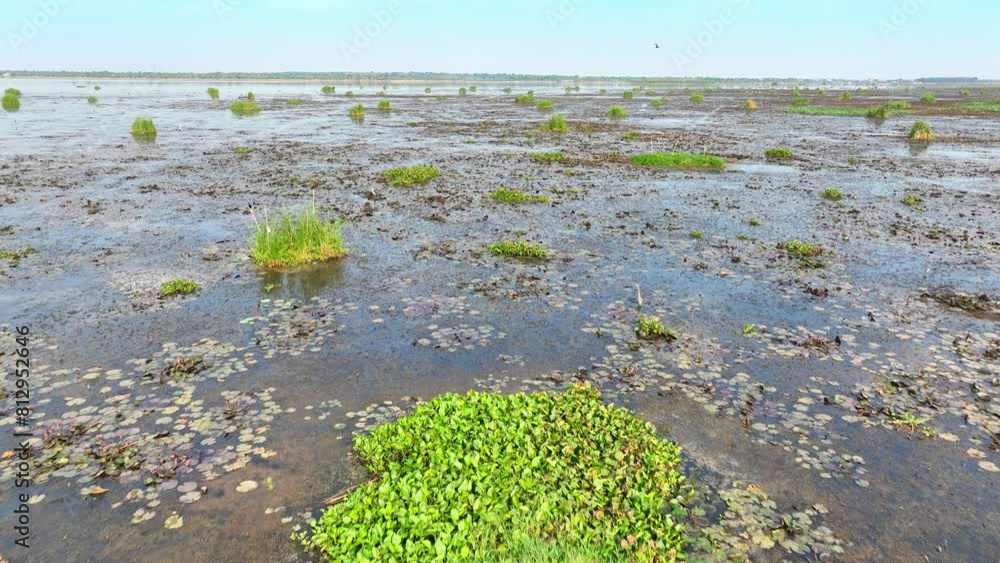 An aerial vista reveals a sparse wetland, patches of greenery dotting ...
