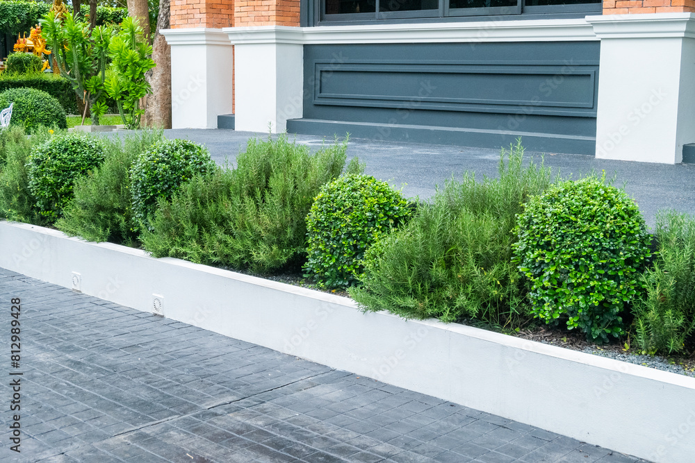 Beautiful Walkway and bush in spring garden with concrete pavement with ...