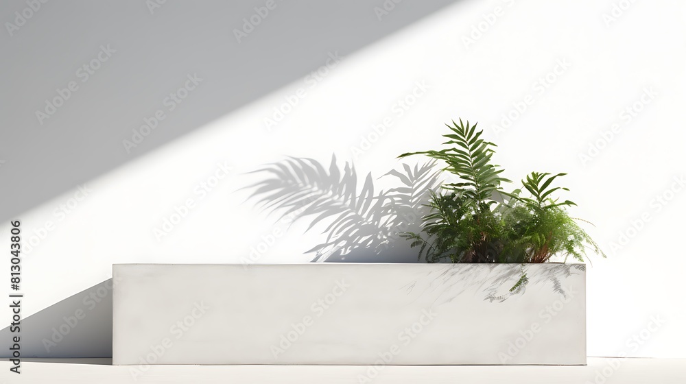 A concrete planter box with lush foliage, its shadow adding dimension ...