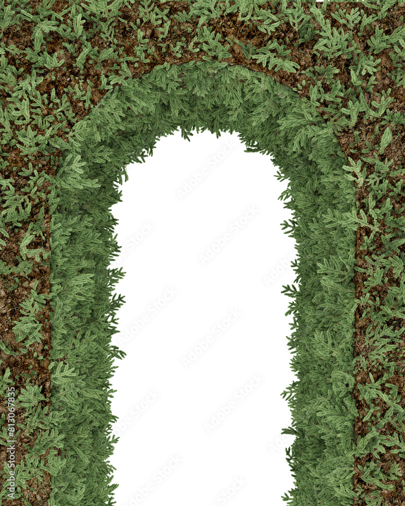 Arch of plant, vine, tree and fern use for decoration with isolated on ...