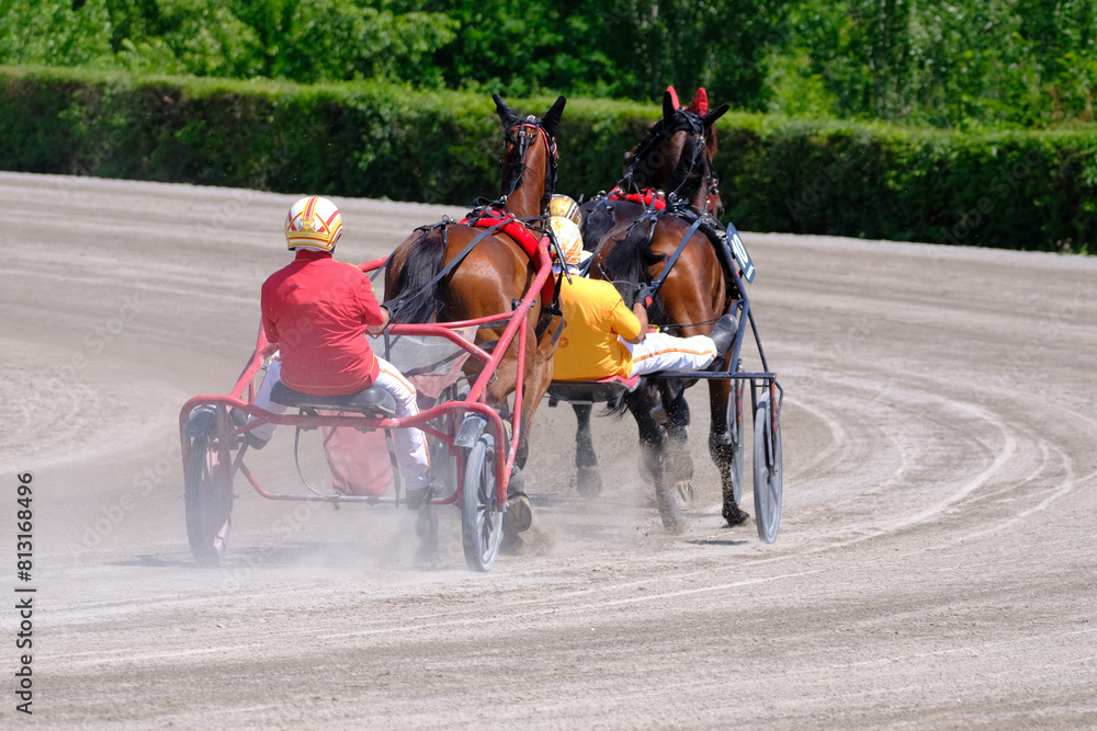 Racing horses trots and rider on a track of stadium. Competitions for ...