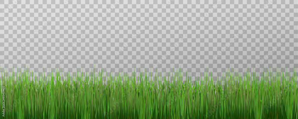 Grass border, vector illustration. Vector grass, lawn. Grass png, lawn ...
