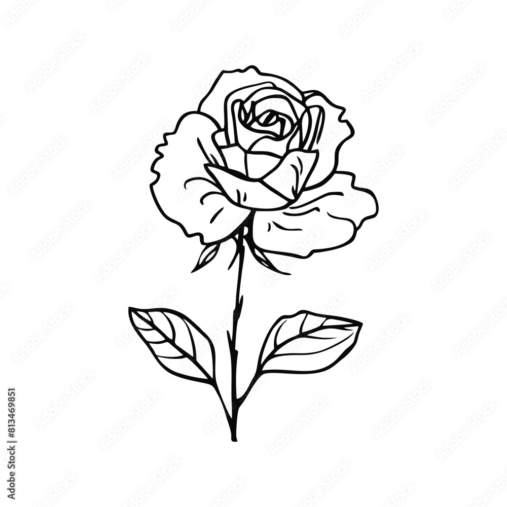 A minimalist, black single line drawing of a rose, white background ...