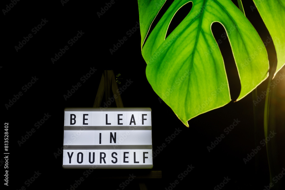 Caption saying BE LEAF believe IN YOURSELF Indoors garden healthy space ...