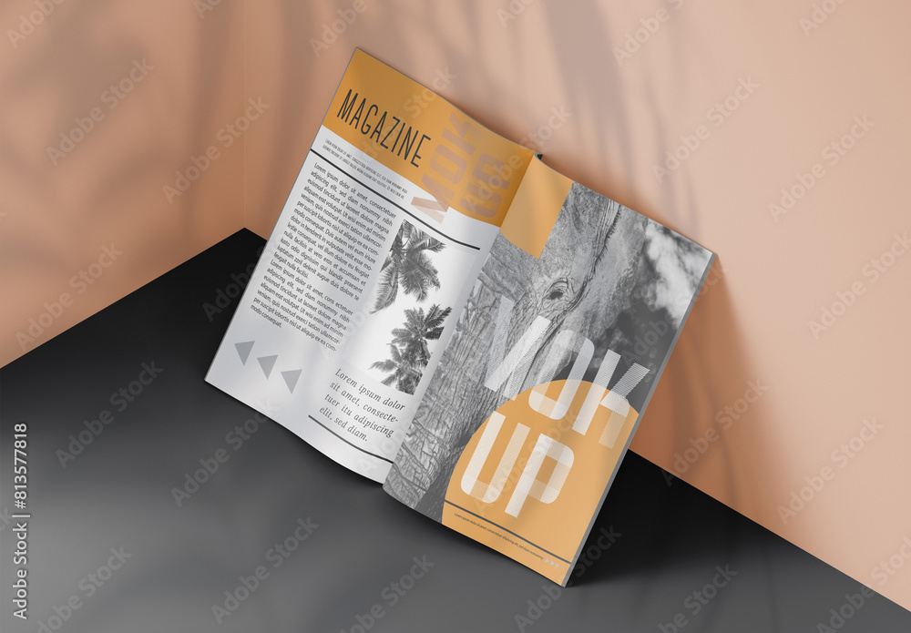 Matte Magazine Mockup Stock Template | Adobe Stock