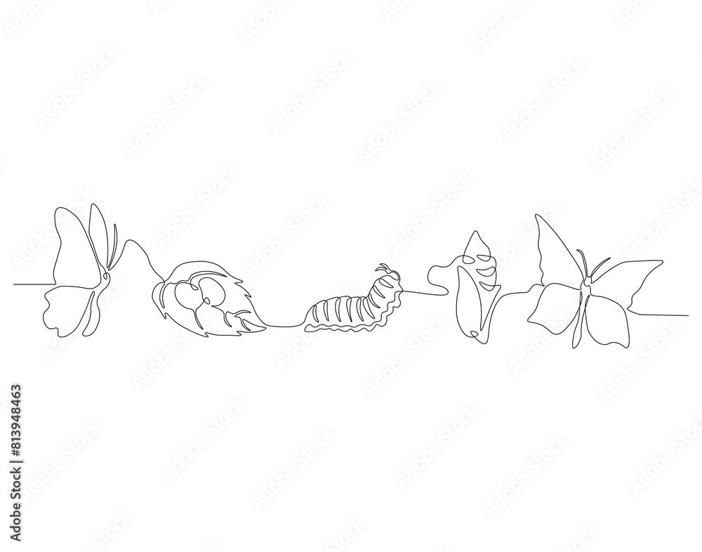 Continuous one line drawing of butterfly life cycle. One line drawing ...