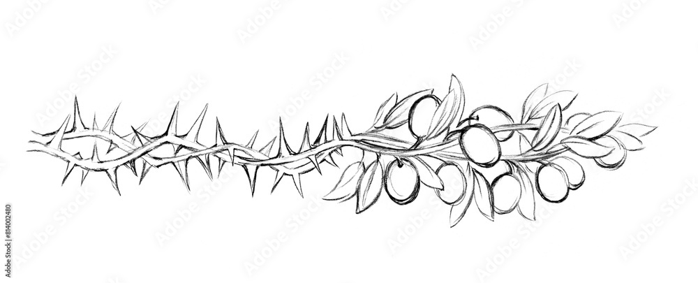 Pencil drawing. The Holy Spirit in the form of a dove turns a thorn ...