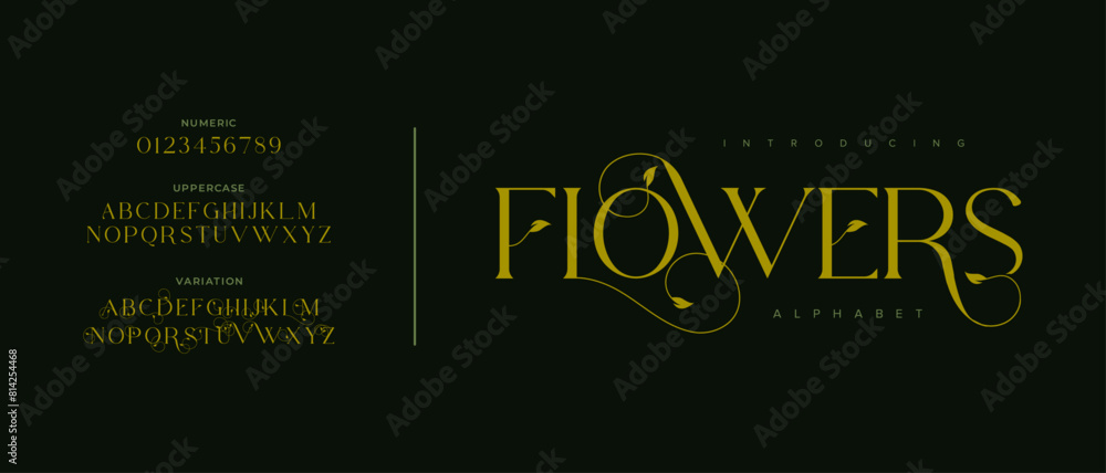 Flowers elegant font alphabet uppercase lowercase and number. Classic ...