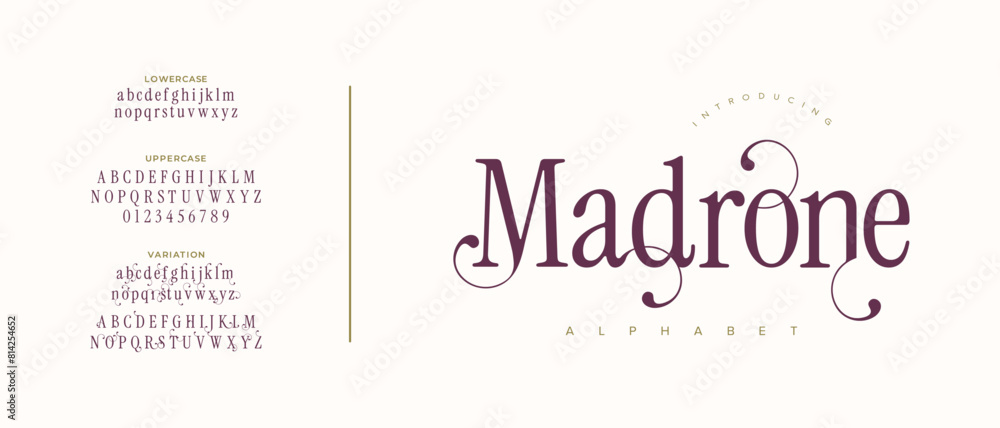 Madrone elegant font alphabet uppercase lowercase and number. Classic ...