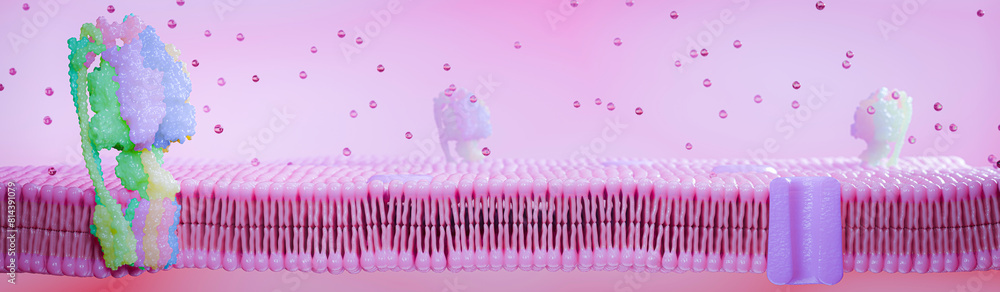 Simulated image of cell membrane, a component of cell wall proteins ...
