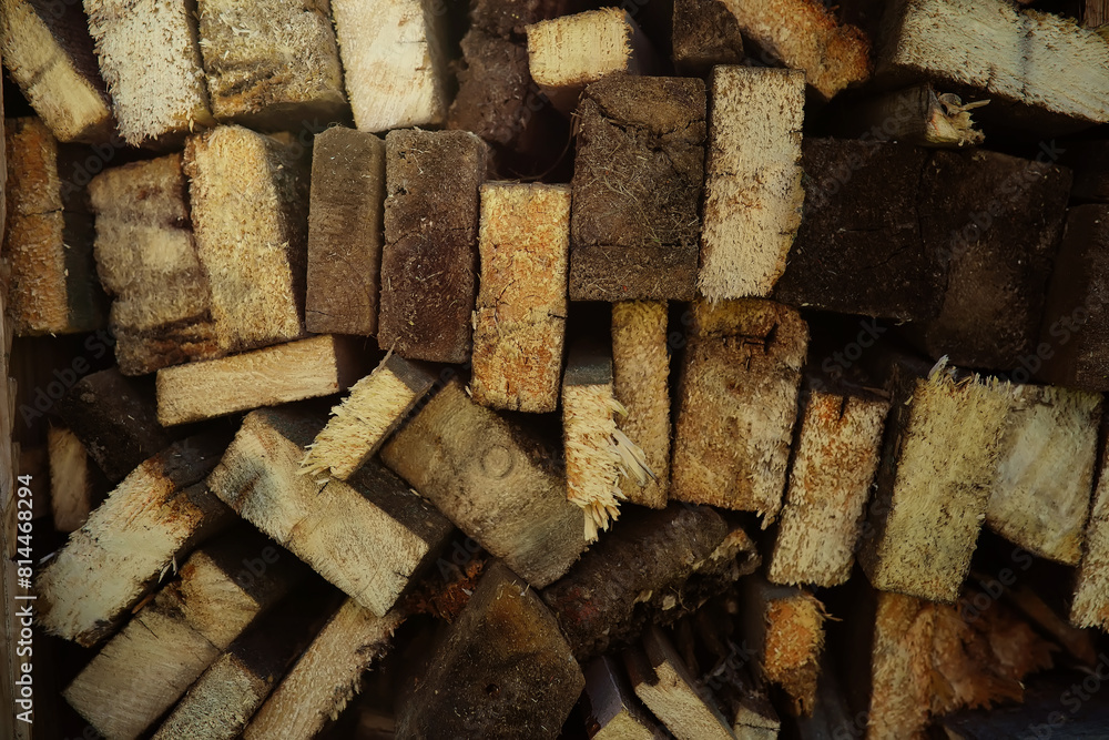 Chopped wood logs stacked in forest woodlands renewable green biomass ...