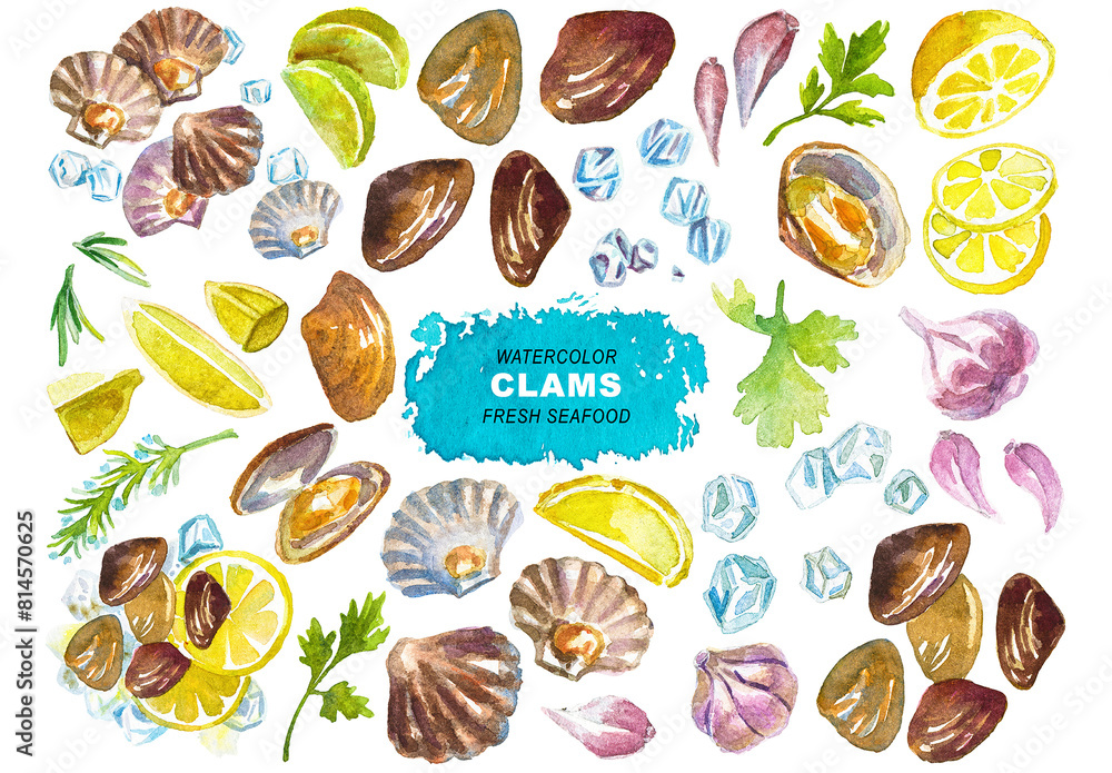 Modelo de Watercolor painted clams clipart. Hand drawn fresh seafood ...