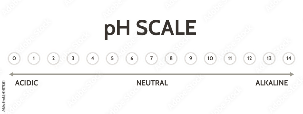 pH value scale chart for acid-alkaline solution. PH scale science ...