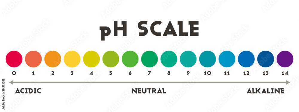 pH value scale chart for acid-alkaline solution. PH scale science ...