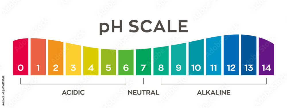 pH value scale chart for acid-alkaline solution. PH scale science ...