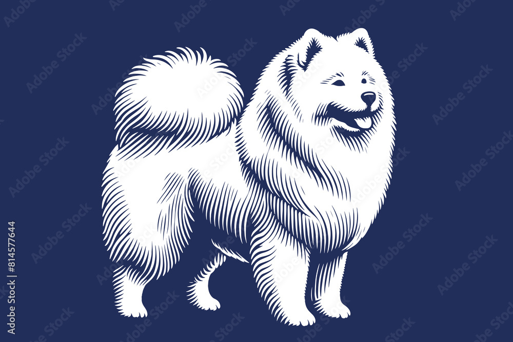 Samoyed dog. Bjelkier. Engraving vector illustration, logo, icon ...