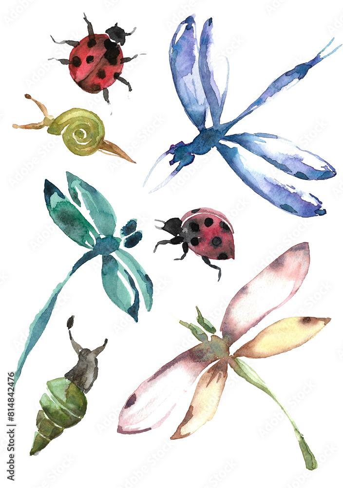 Summer insects. Set of three blue, emerald and brown dragonflies, red ...