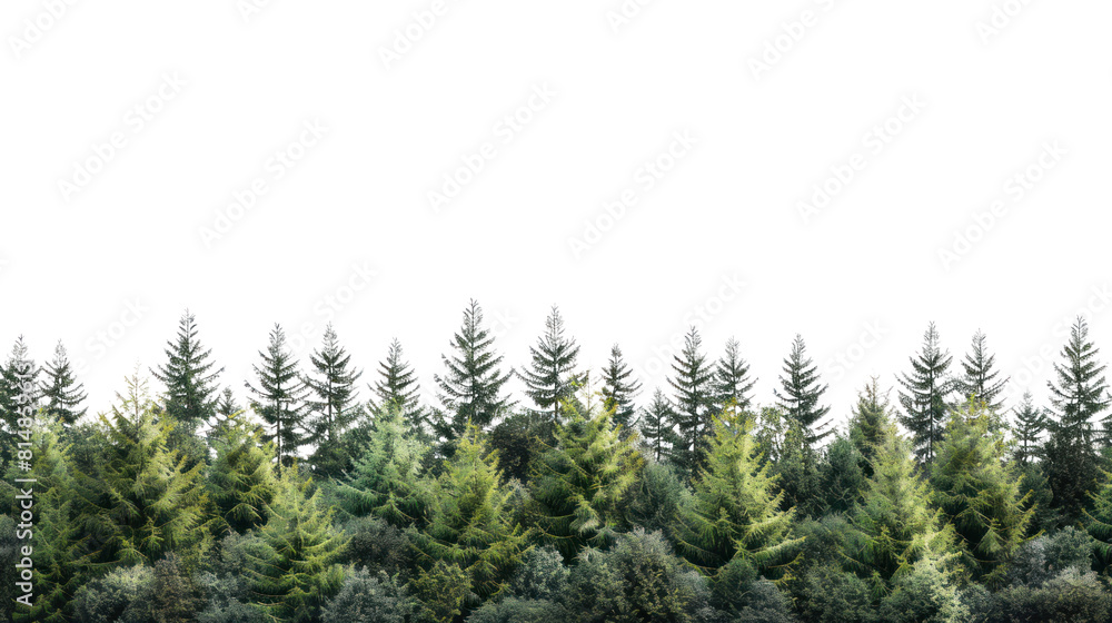 High definition Treeline isolated on transparent and white background ...