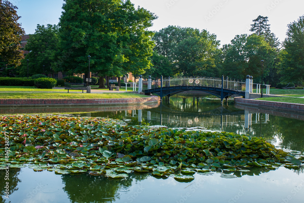 Green trees and pond with reflective surface. Pedestrian bridge over ...
