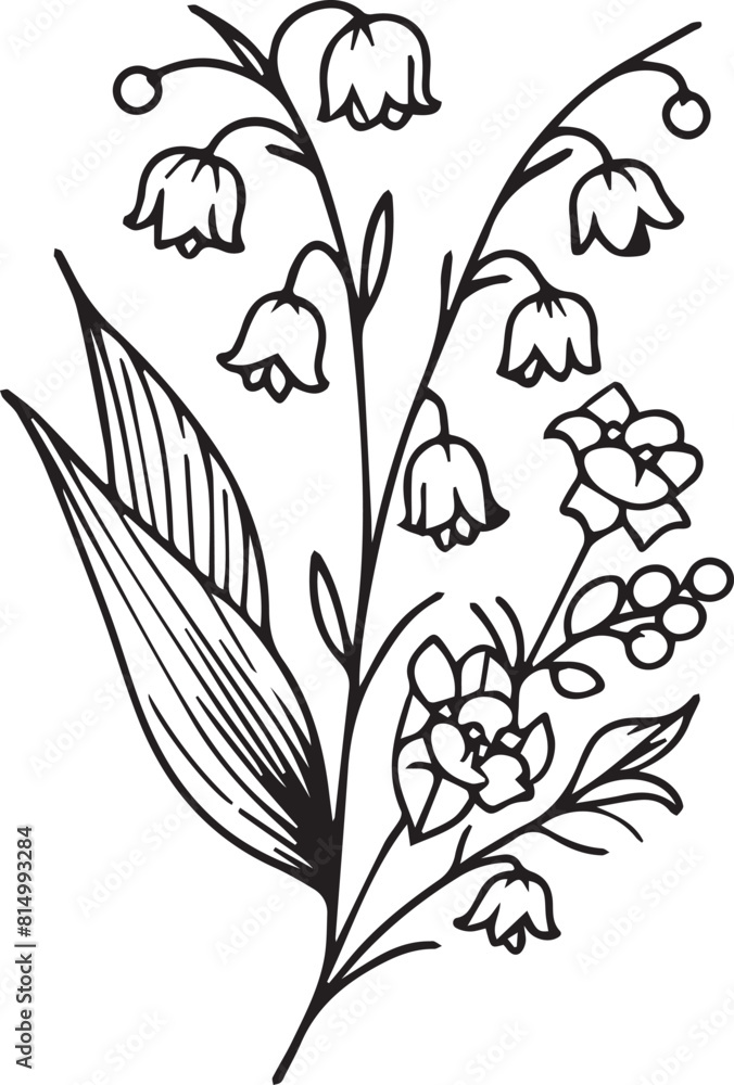 may birth flower drawing lily of the valley, Vintage Hand drawn birth month flowers, Lily of the ...