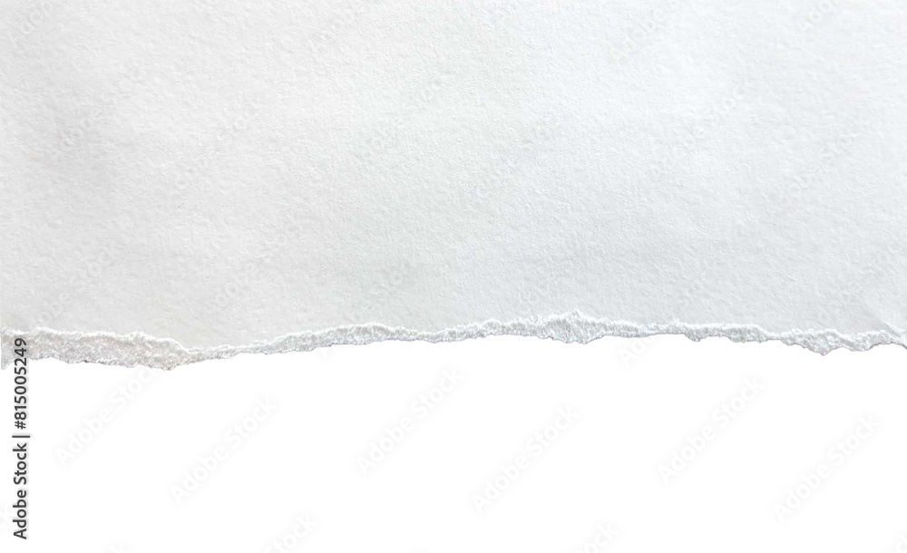 Torn paper background. Paper different scraps set ripped page piece ...