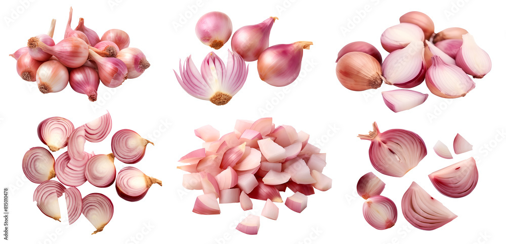 Shallot vegetable herb, many angles and view side top front cluster ...