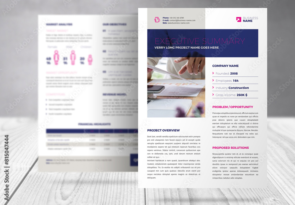 Business Executive Summary Report Template Stock Template | Adobe Stock