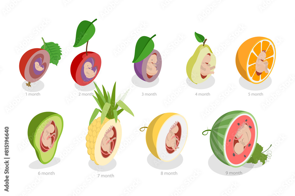 3D Isometric Flat Illustration of Embryo Monthly Growth Stages, Human ...