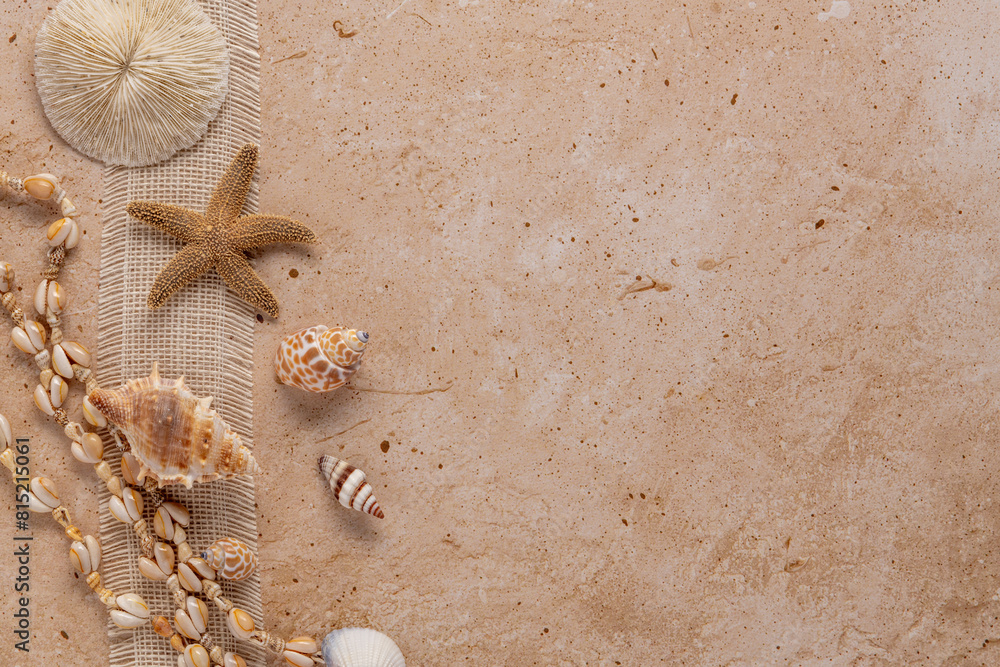 tropical seashore corner border background with shells starfish and ...