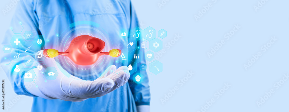 Female reproductive system. Interior of the cervix in good health ...