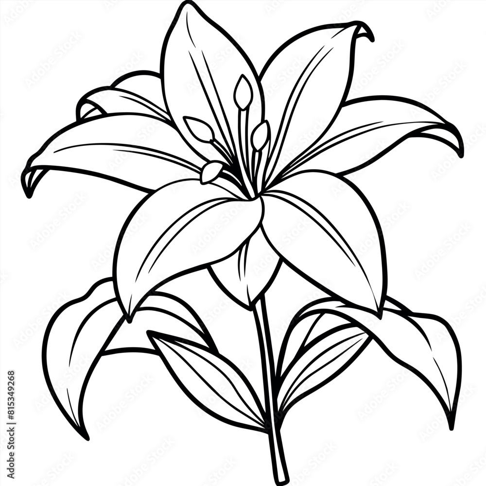 Amaryllis Flower outline illustration coloring book page design ...