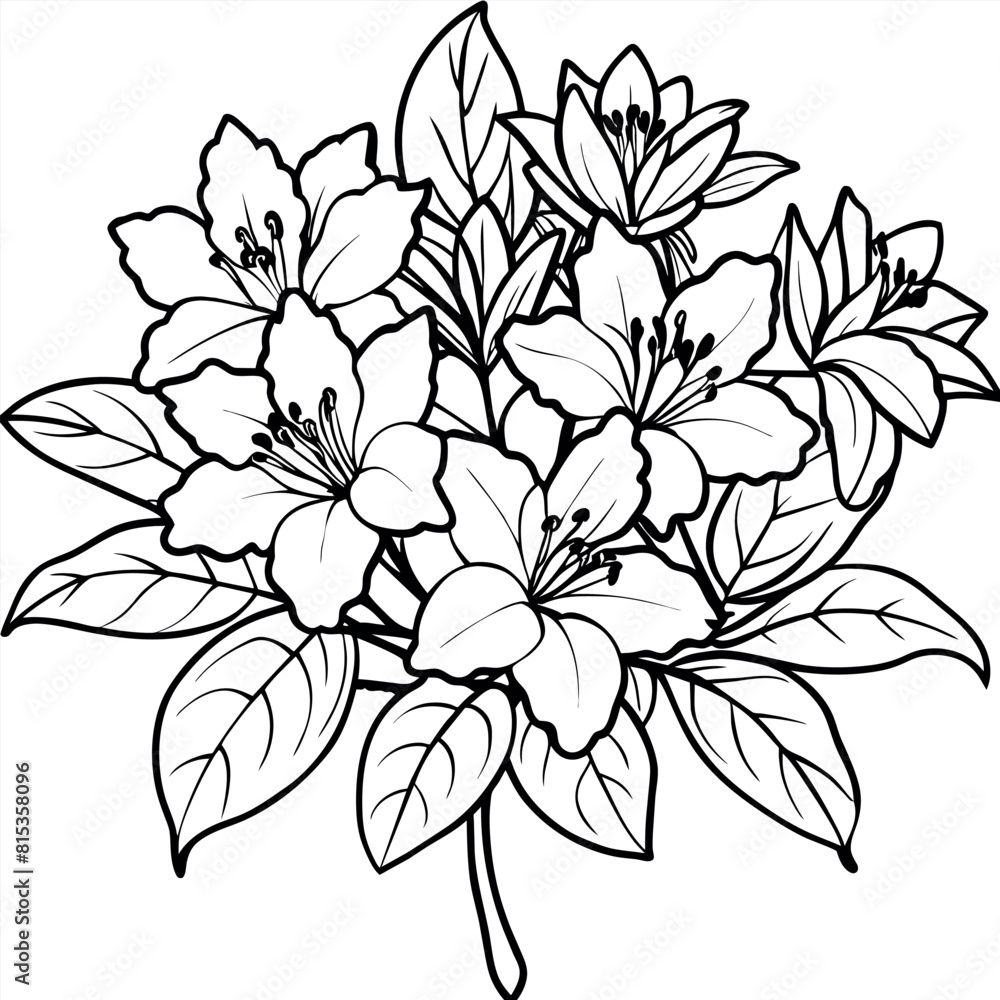 Azalea flower outline illustration coloring book page design, Azalea ...