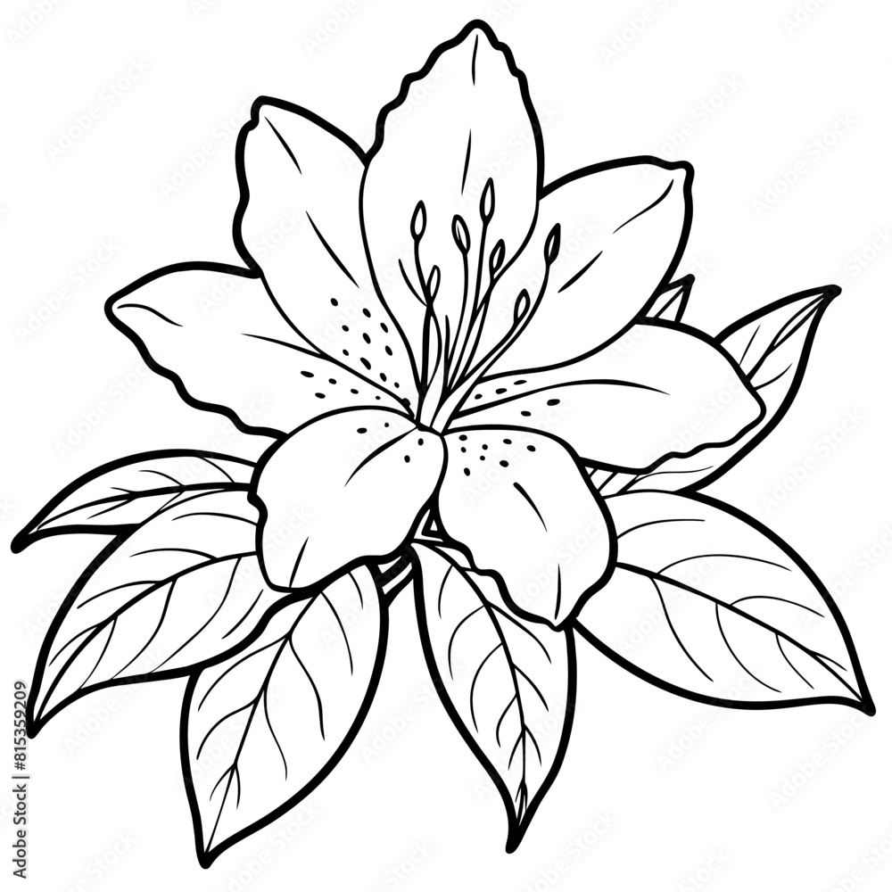 Azalea flower outline illustration coloring book page design, Azalea ...