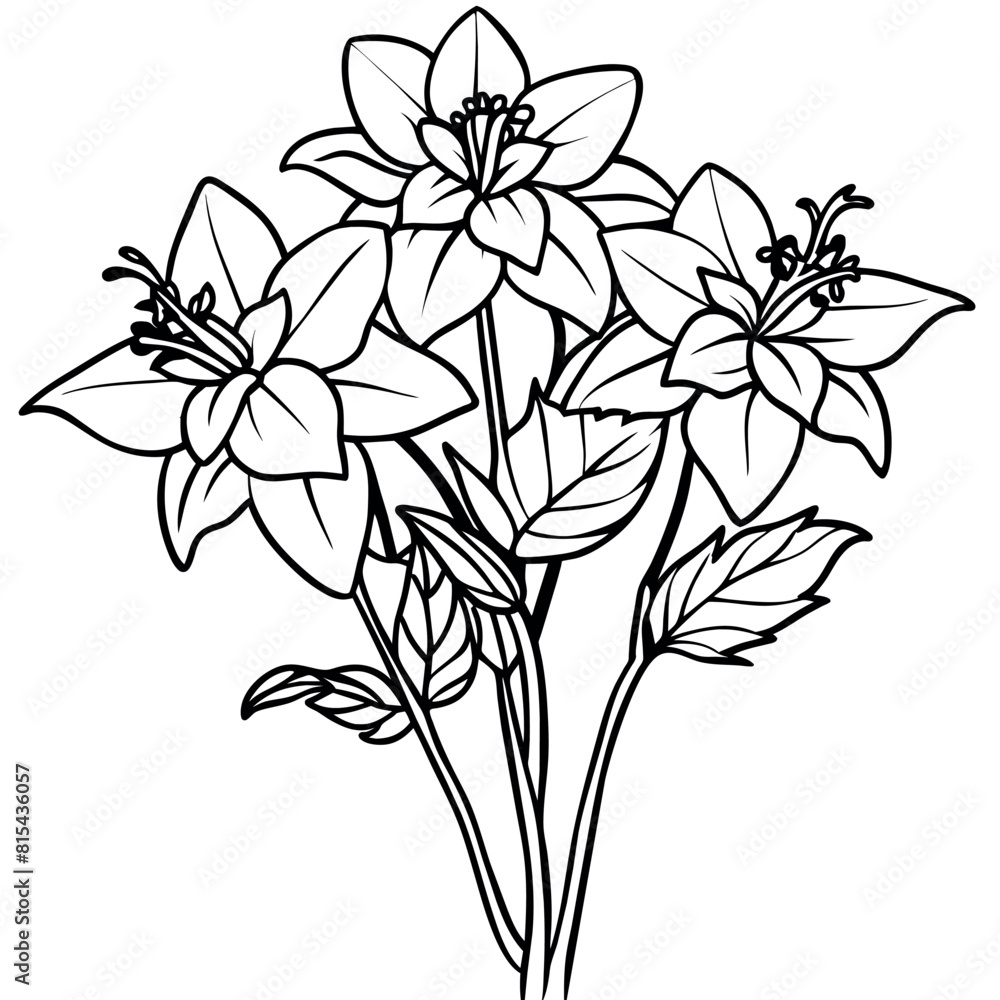 Columbine flower outline illustration coloring book page design ...