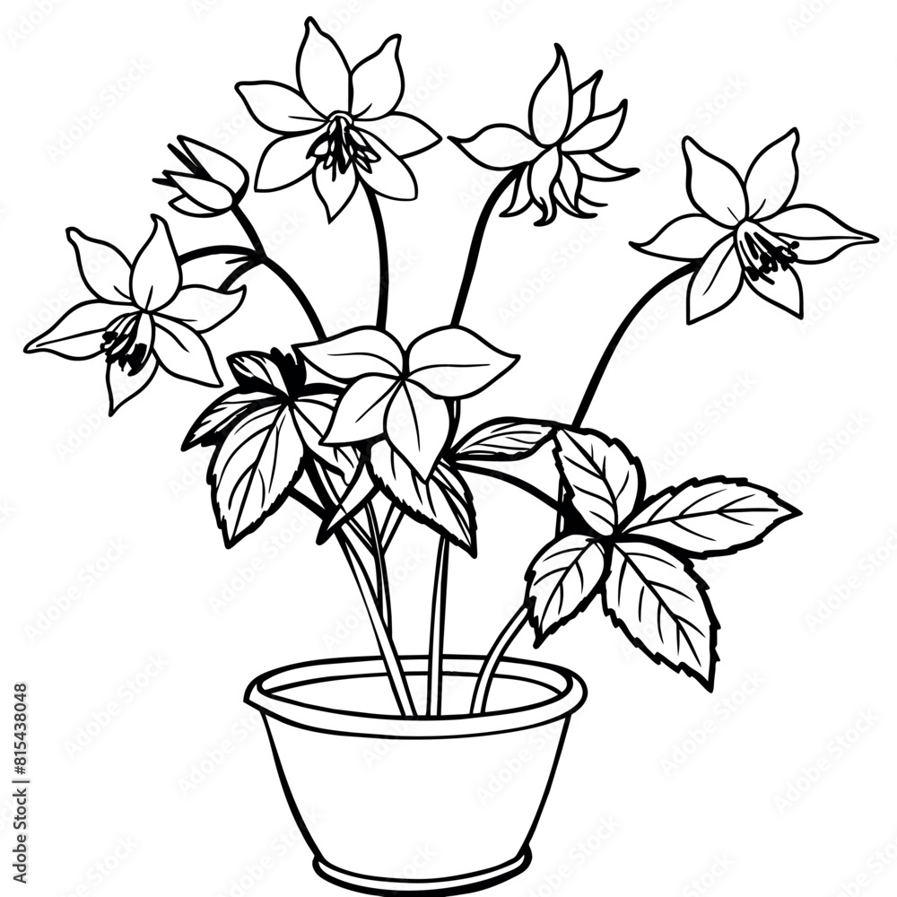 Columbine flower outline illustration coloring book page design ...