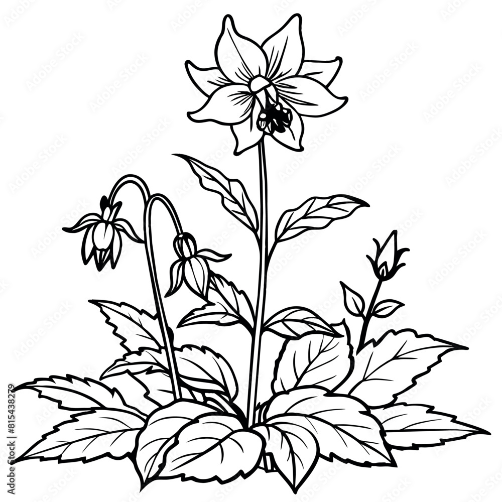 Columbine flower outline illustration coloring book page design ...