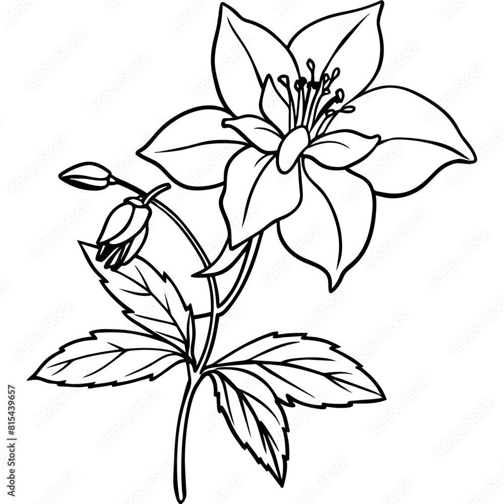 Vetor de Columbine flower outline illustration coloring book page ...