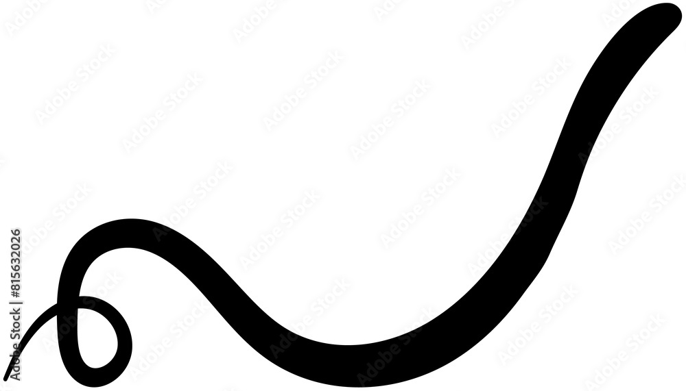 Black swoosh and swish calligraphy symbol. curve line or Underlined ...