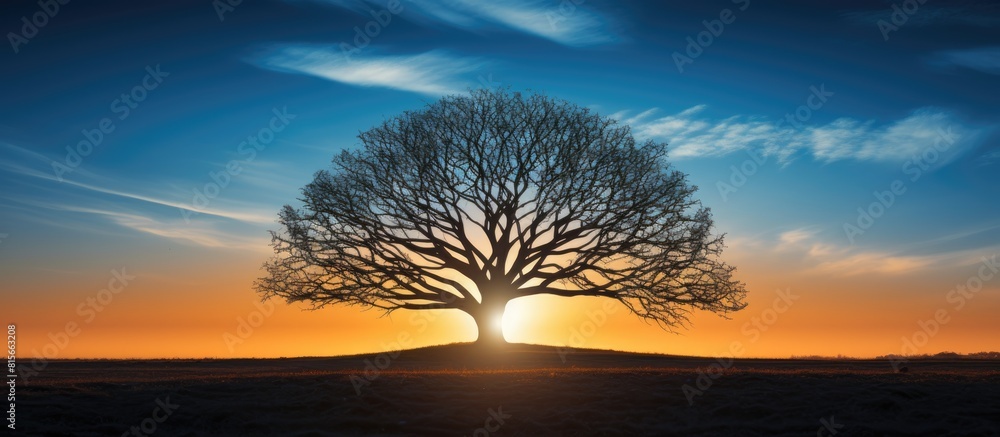 Great Oak Tree Banner a black silhouette of a large oak tree with no ...