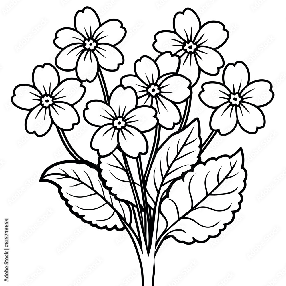 Primrose flower outline illustration coloring book page design ...