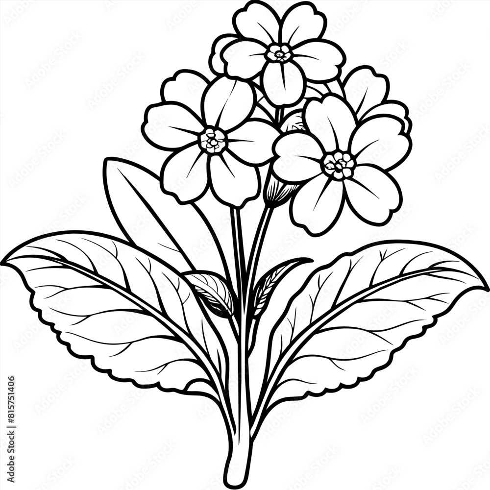 Vetor de Primrose flower outline illustration coloring book page design ...
