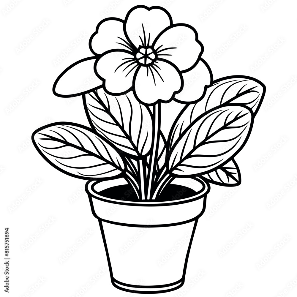 Primrose flower outline illustration coloring book page design ...