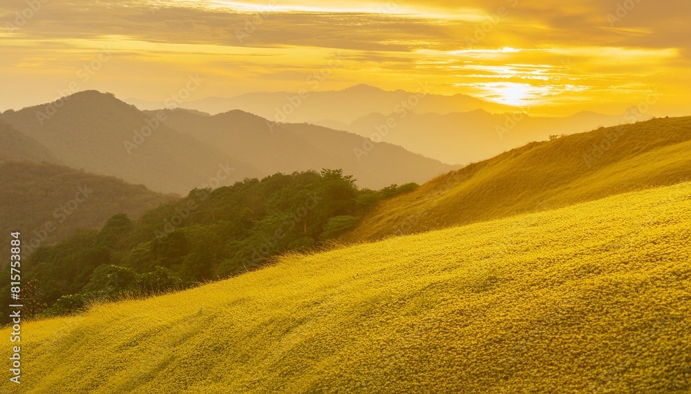 golden background gold texture beatiful luxury and elegant gold ...