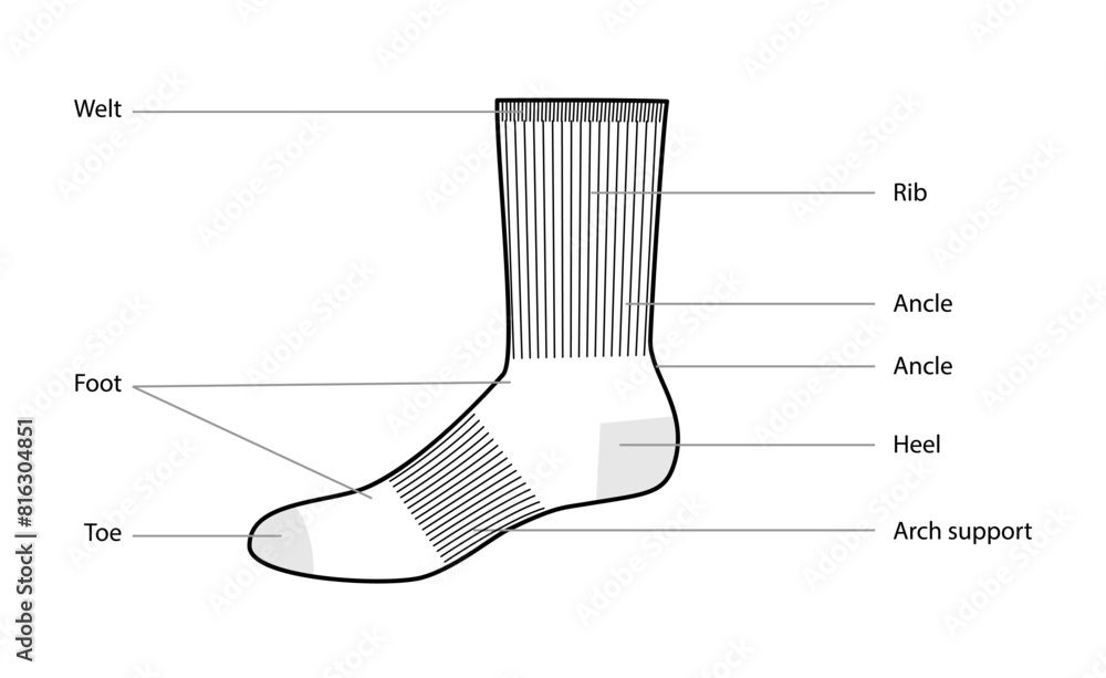 Diagrams of socks parts with text names. Hosiery Fashion accessory ...