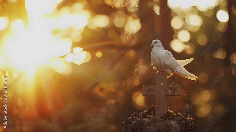 The bright sun and the sunset forest white dove and the holy cross of Jesus Christ symbolize ...