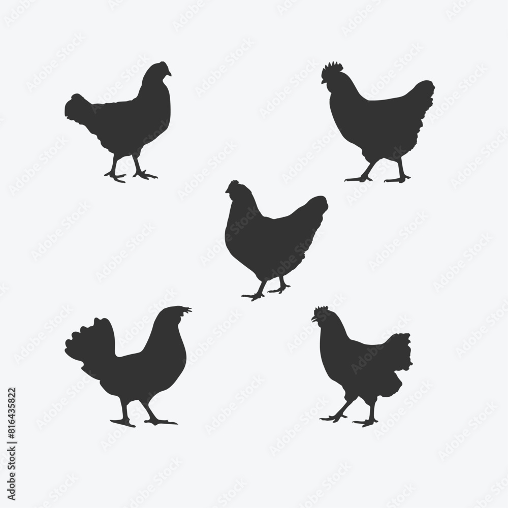 Comprehensive Hen Silhouette Set, An Extensive Collection of Stylish ...